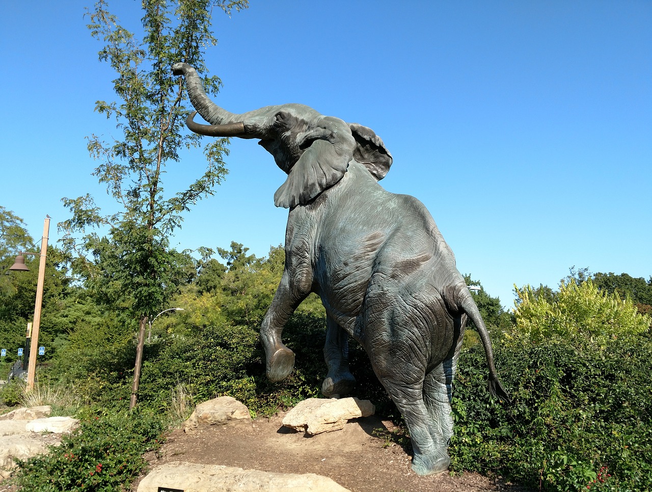 Free photo Image - elephant statue zoo sculpture